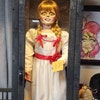 The Conjuring, Annabelle Style 40 Inch Wooden Containment Cabinet - Etsy