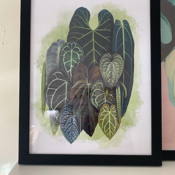 Anthurium Houseplant Wall Art | Exotic Plant Print | Rare Aroid ...