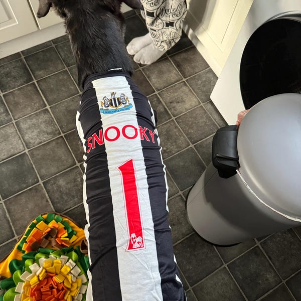 Liverpool FC inspired Personalised Pet Tank Top With Original FC Logo ...