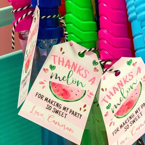 EDITABLE One in a Melon Thank You Tags, Watermelon Favor Tag, Pink ...
