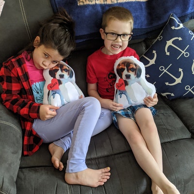 Huggable Pet Photo Pillow, Personalized Custom Dog or Cat Pet Photo ...