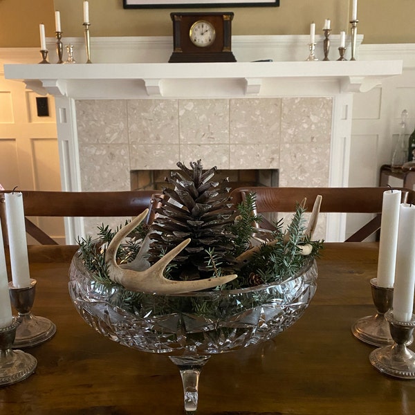 7-8" Jumbo Pine Cone, Large Pine Cone, Jumbo Pinecone, Large Pinecone ...