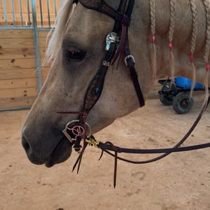 Western Nose Piercing L Shape 5 Pack - Etsy