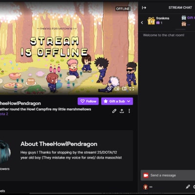 4x Cute Premium Animated Twitch Offline Banners 8bit Pixel Art Stream ...