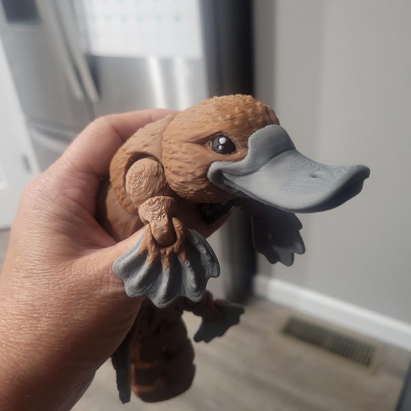 Large Articulated Platypus 3D Printed Figure With Removable Hat ...