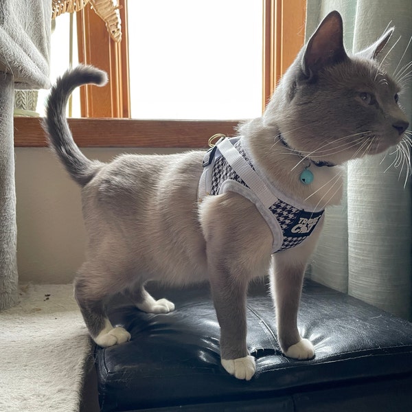 The True Adventurer" Reflective Cat & Kitten Harness and Leash Set for ...