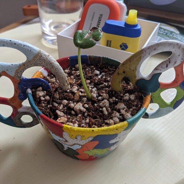 Paper Sculptural Vase / Paper Pulp Vessel / Sustainable Art ...