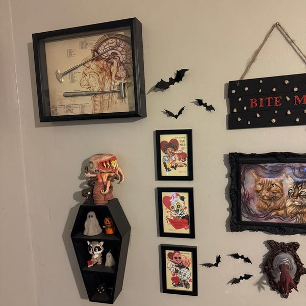 BESTSELLER! Lobotomy Shadowbox Display Large - Etsy