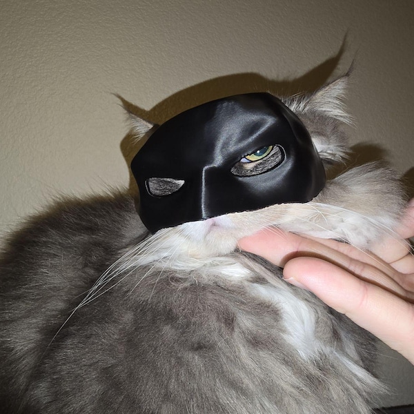 Cat Bat Mask - 3D Printed (fits Most Average Sized Cat) - Etsy