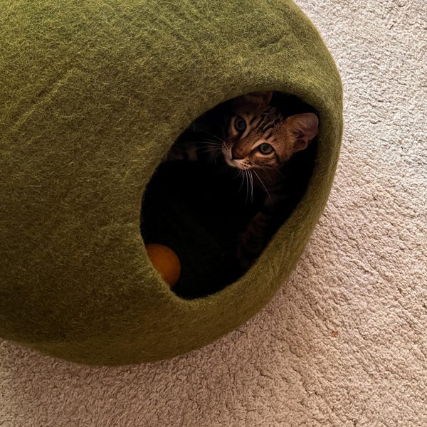 50cm Handmade Wool Cat Cocoon Bed / Cozy Cat Cave House - Etsy