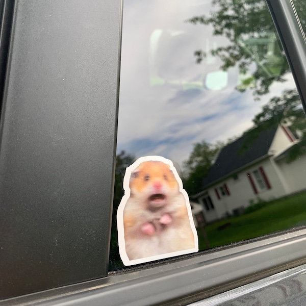 Surprised Shock Hamster Meme Funny Car Bumper Sticker Interior or ...