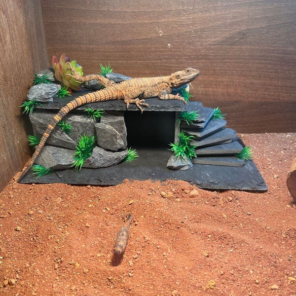 Beautiful Natural Slate Reptile Hide. Leopard Gecko, Prefect for ...