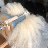 Wool Picker Fiber Collector Fibre Comb Fleece Collector - Etsy