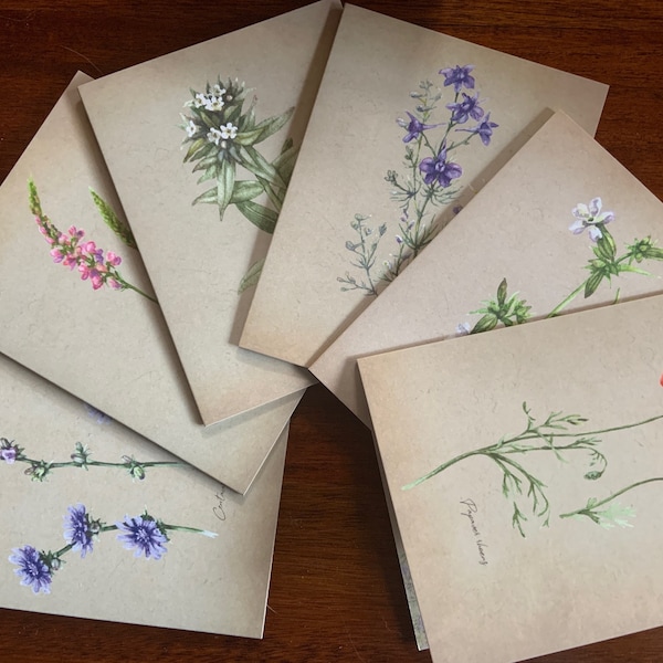 Watercolor Vintage Botanical Floral Wildflower Notecards - 12 Card Gift ...