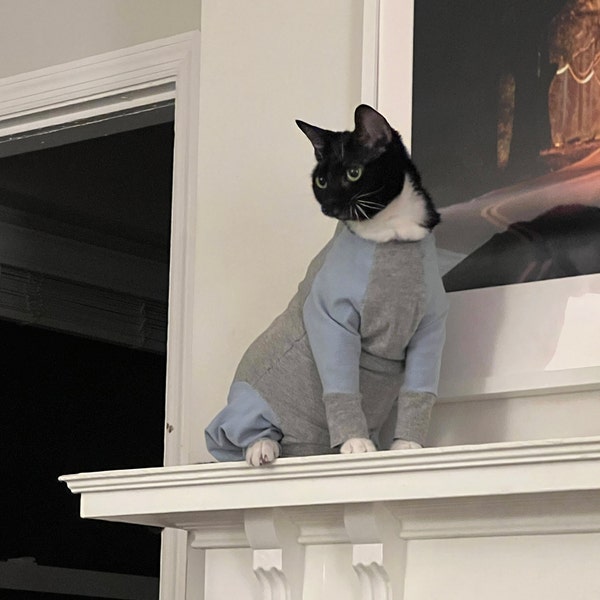 Sphynx Cat Bodysuit Sewing Pattern PDF – Cat Pajamas & Recovery Suit - Etsy