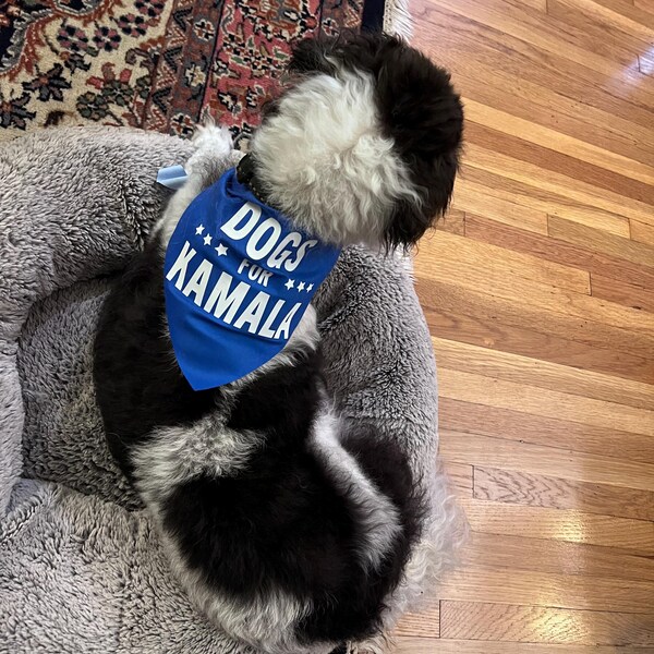 You’ve Been Boozed Wine Tote, Halloween Booze Gift Bags, Favor Treat ...