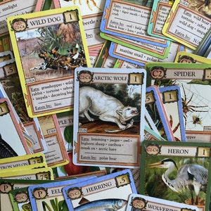 Ecologies Card Game Gameplay Inspired by Nature Use | Etsy UK