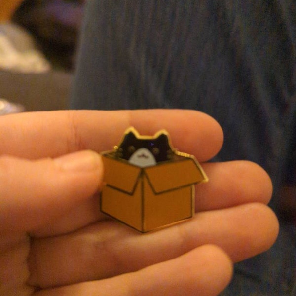 Box Cat - Hard Enamel Pin - Cute Lapel Pin Gift Stocking Stuffer - Etsy