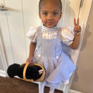 Raya and the Last Dragon Baby Costume Raya Baby Outfit. - Etsy