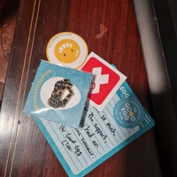 Pokemon Go Reflective Team Badges - Etsy Canada