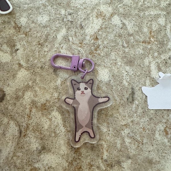 Cat Meme Keychains | Funny Cute Gifts for Kitty Lovers - Etsy