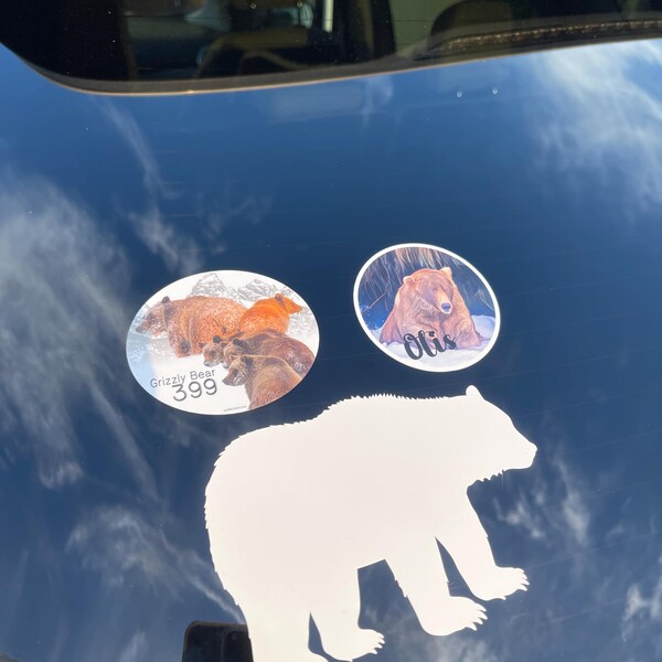 STC-054 Alaska Map and Sockeye Salmon Sticker, Alaska State Image ...