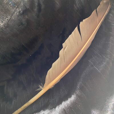 Two Handcut Quills - Etsy