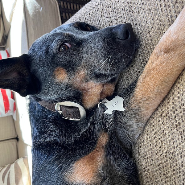 State of Texas (or Select Your State) Pet Name Tag Medium 1" Max ...
