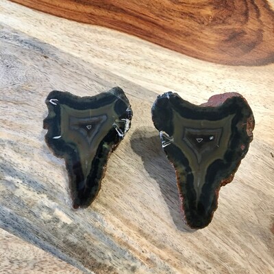 Orange Moss Agate Slabs, Agate Slabs for Lapidary, Metaphysical ...