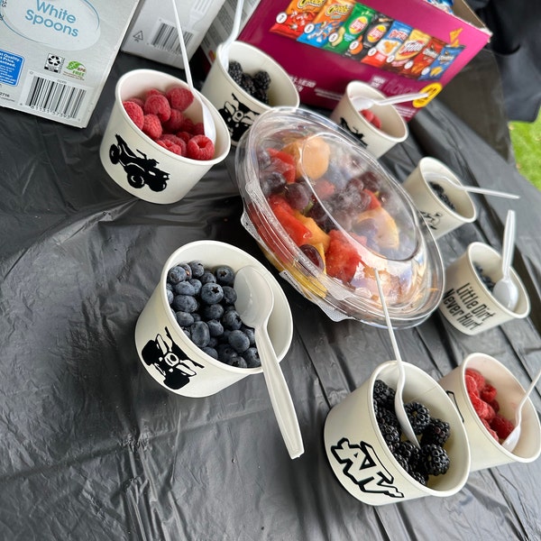 Troll Birthday Party Snack Cups Ice Cream Treat Food Bowls Decorations ...