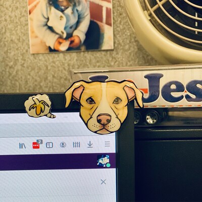 Pitbull Magnet: Gift for Pit Bull Lovers, Teachers, Vet Techs ...