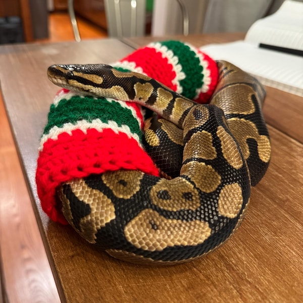 Sandworm Snake Sweater | Halloween Costume | Crocheted Snake Sweater ...