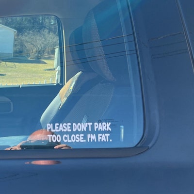 Stick Figure Flipping off Vinyl Decal - Etsy