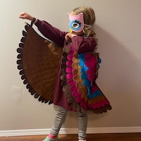 Partridge Costume, Bird Costume, Partridge in a Pear Tree, Wings and ...