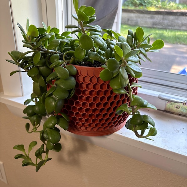 Wood Honeycomb Planter, Unique 3D Printed Plant Pot With Drainage ...