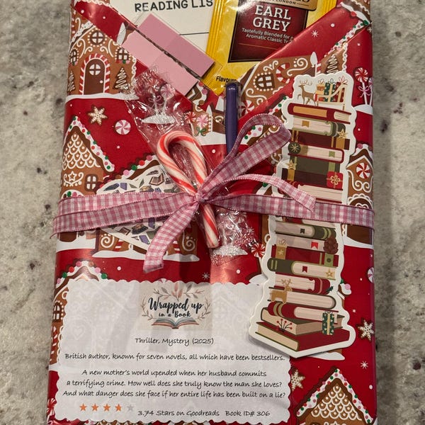 Wrapped up in a Book- Blind Date Book Holiday Edition - Etsy