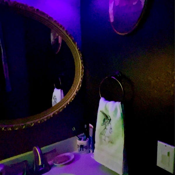 Morbid Gift Bundle, Handmade Spooky Decor & Gifts, Gothic, Horror ...