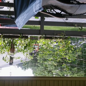 Maple Syrup Filter Set 1 Qt. 3 pieces One Maple Syrup | Etsy