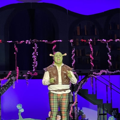 Special FX Makeup Theatrical Makeup Shrek the Musical Shrek Latex Head ...