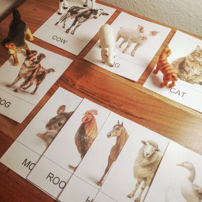 Montessori Farm Animals, Poster Real Learning Educational Material for ...