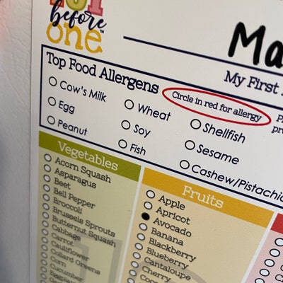101 Food Checklist PDF Download for Baby Led Weaning From 101 Before ...
