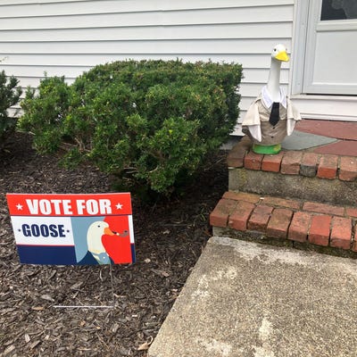When Women Vote Women Win Yard Sign Coroplast Democracy Sign, Vote ...