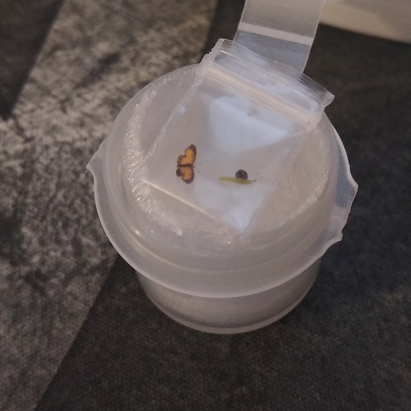 MICRO Mini Garden Snail, 1mm Shell, Handmade 1:12 Scale Miniature Brown ...