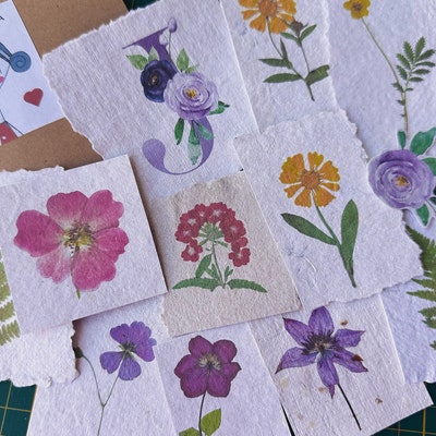 Beautiful Watercolor Handmade Paper Set Handmade Stationary Floral and ...