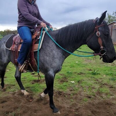 Yacht Rope Sport Mecate Reins W Poppers Use With Slobber Straps Snaffle ...