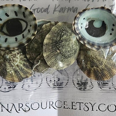 RARE Moldavite Pendant Synergy 12 Hamsa Evil Eye Protection Spiritual ...