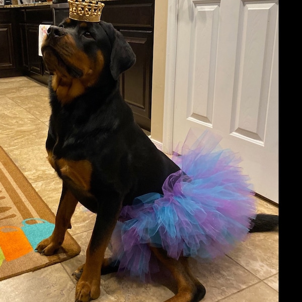 Dog Tutu: TURQUOISE BLUE & PURPLE Small / Medium / Large / Xlarge Dog ...