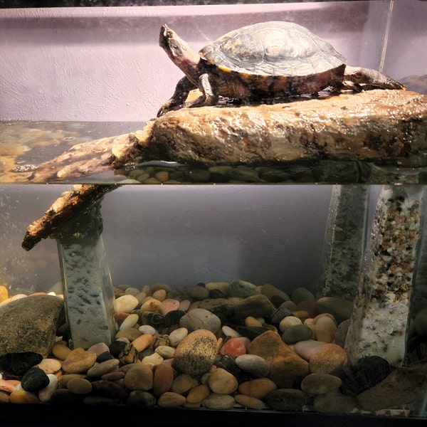 LARGE Aquatic Turtle Basking Platform Dock Custom Made to Order,large ...