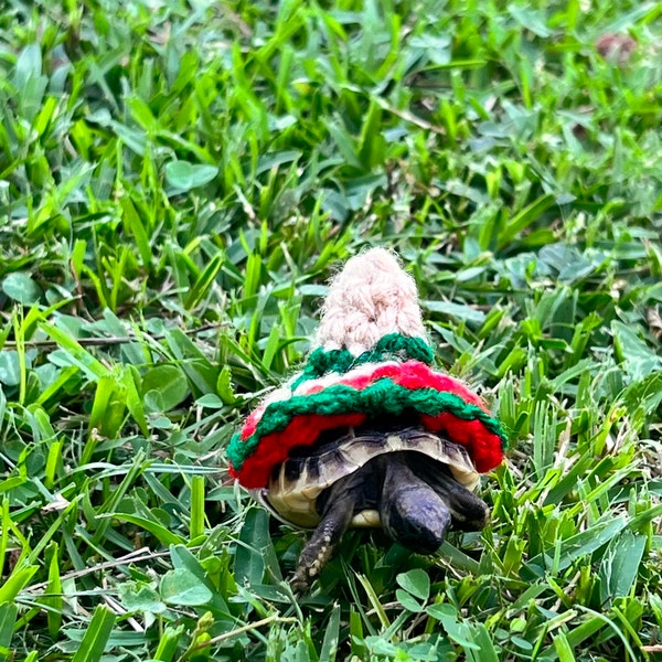 Mariachi Sombrero Turtle/tortoise Costume - Etsy