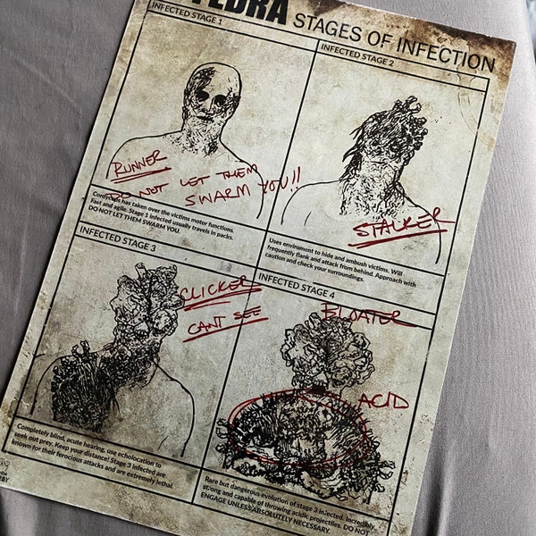 STAGES of INFECTION Cordyceps Flyer, the Last of Us, High Quality ...
